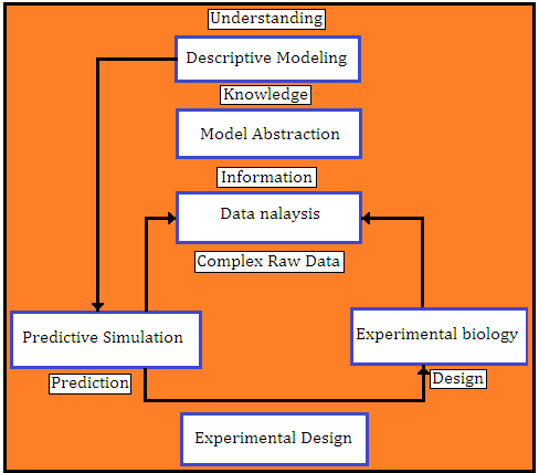 Basics of Mathematical Modelling - Part 1 — Bioinformatics Review
