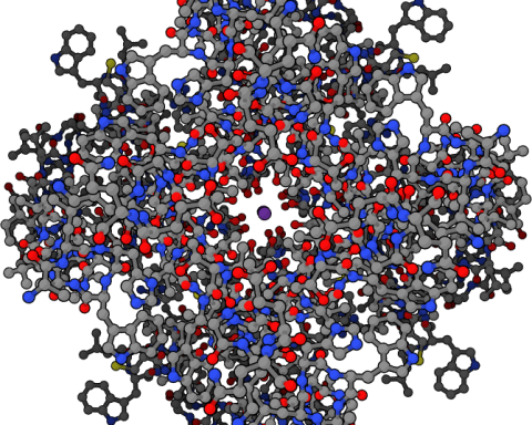 Tutorial: Molecular dynamics (MD) simulation using Gromacs ...