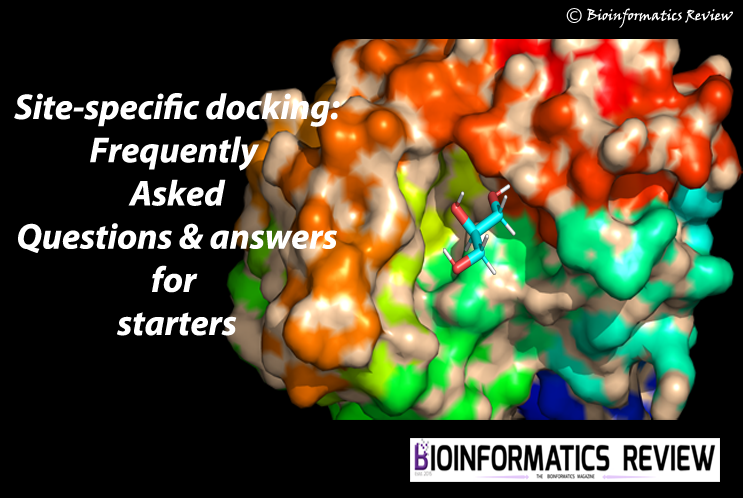 Bioinformatics And Programming Languages What Do You Need To Know