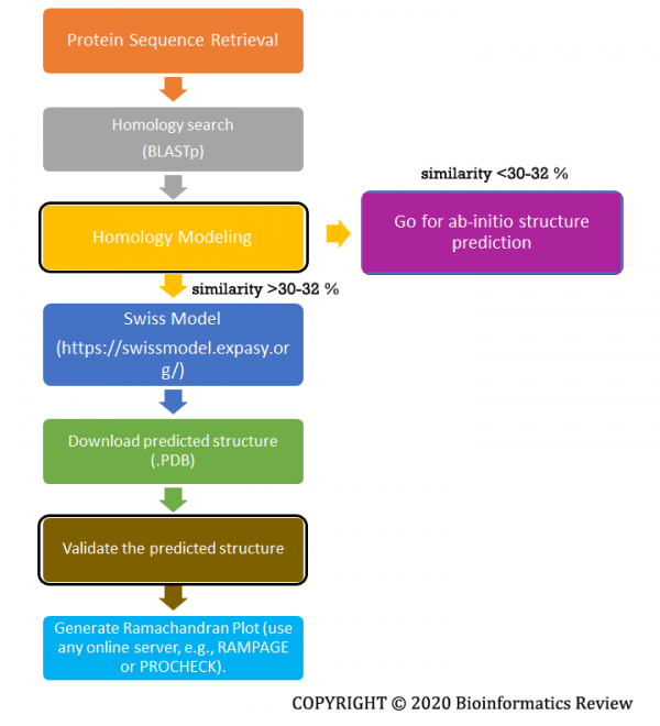 Methodology for Homology Modeling of a Simple Protein — Bioinformatics Review